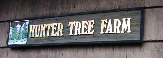 Wedgwood’s Gathering Place at the Hunter Tree Farm | Wedgwood in ...