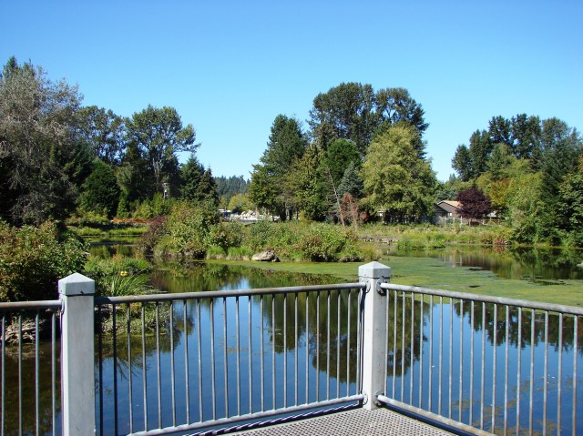 Meadowbrook Update: September 2014 | Wedgwood in Seattle History