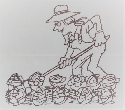 Before There Was a Wedgwood Safeway: the Plat of Public Lands ...