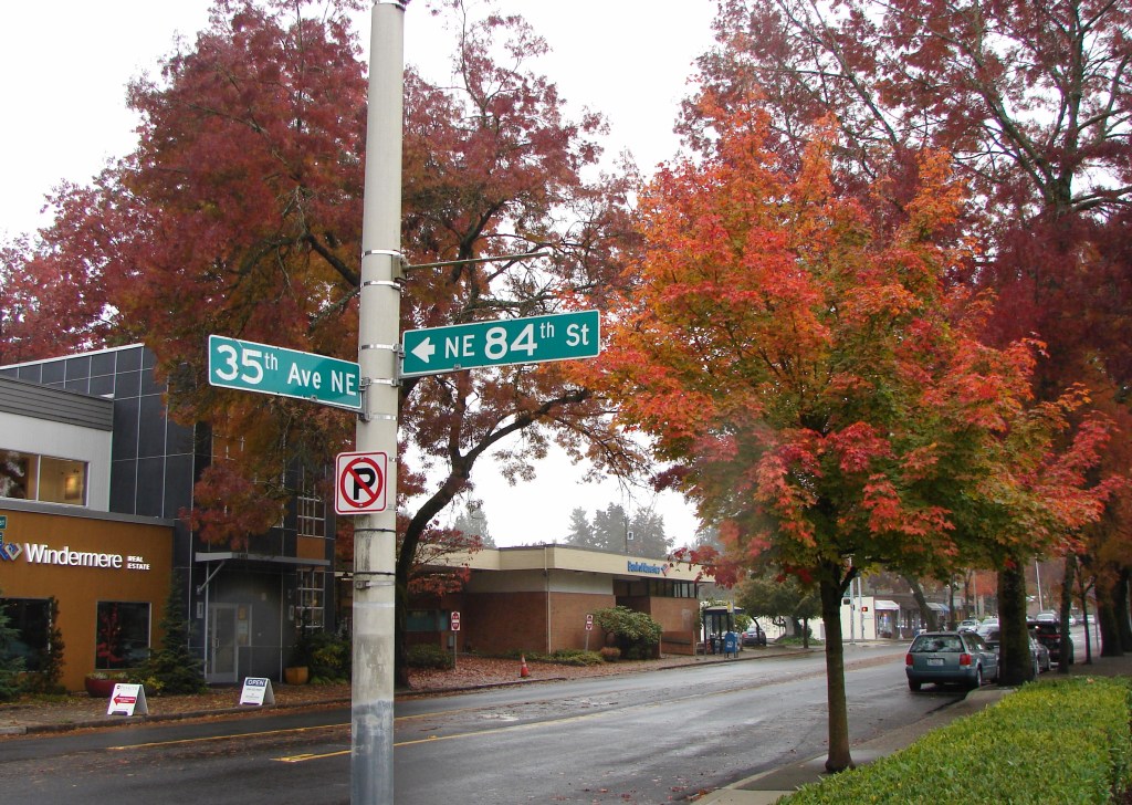 The Trees of Autumn 2025 in Wedgwood | Wedgwood in Seattle History