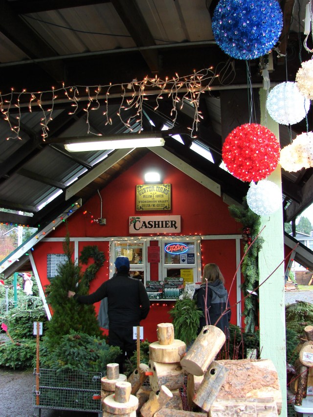 Hunter Tree Farm in Wedgwood in 2021 | Wedgwood in Seattle History