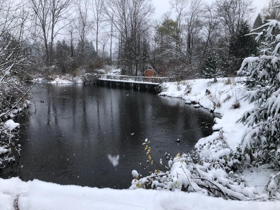 Meadowbrook Pond in Winter | Wedgwood in Seattle History