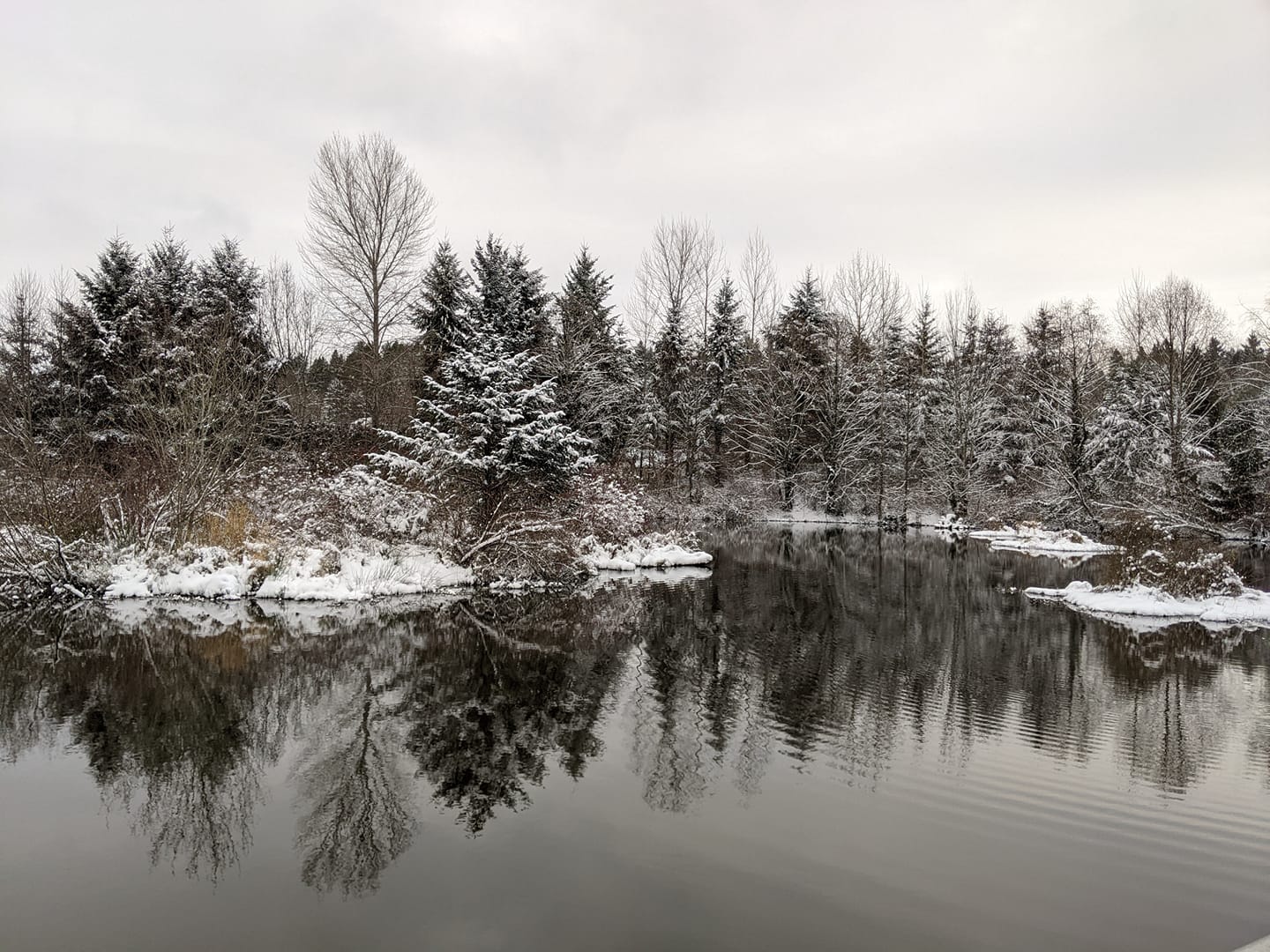 Meadowbrook Pond in Winter | Wedgwood in Seattle History