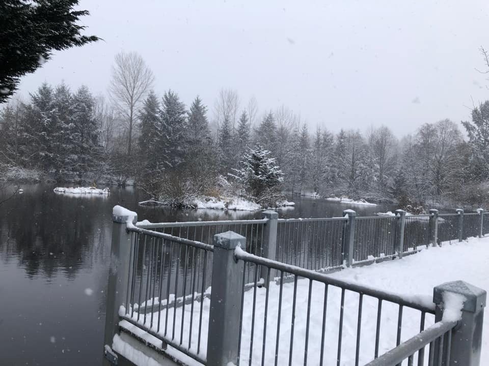 Meadowbrook Pond in Winter | Wedgwood in Seattle History