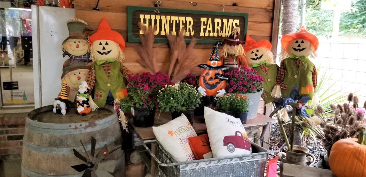 Pumpkin Weekends in Wedgwood | Wedgwood in Seattle History