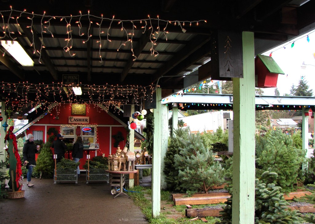 The 2022 Season of Cheer: Hunter Tree Farm in Wedgwood | Wedgwood in ...