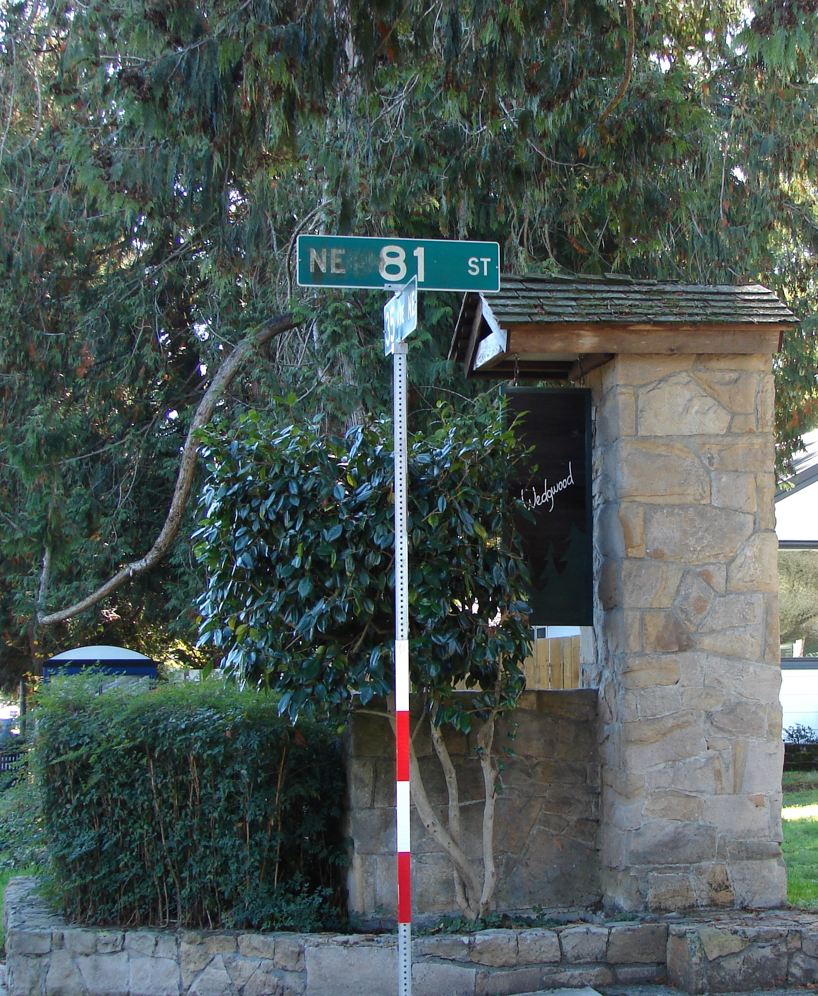 Enjoying the Trees of Wedgwood | Wedgwood in Seattle History