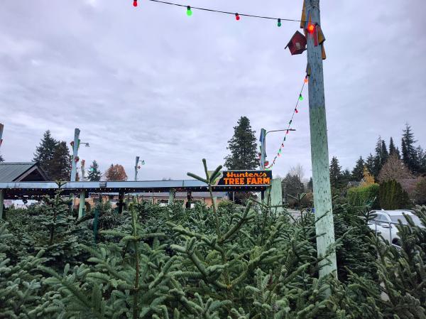 Wedgwood’s Gathering Place at the Hunter Tree Farm | Wedgwood in ...