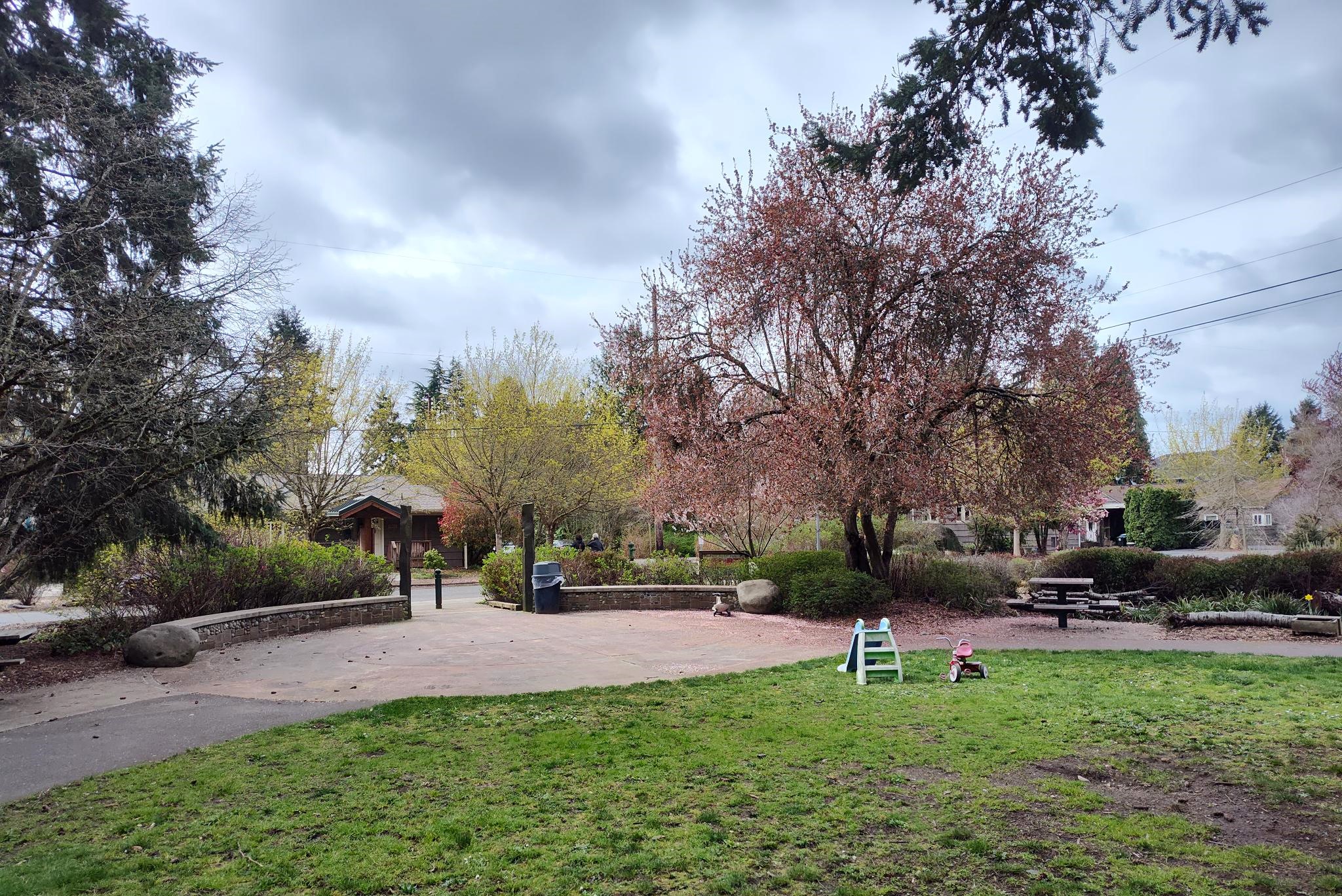 Community Life in Pinehurst in Seattle | Wedgwood in Seattle History