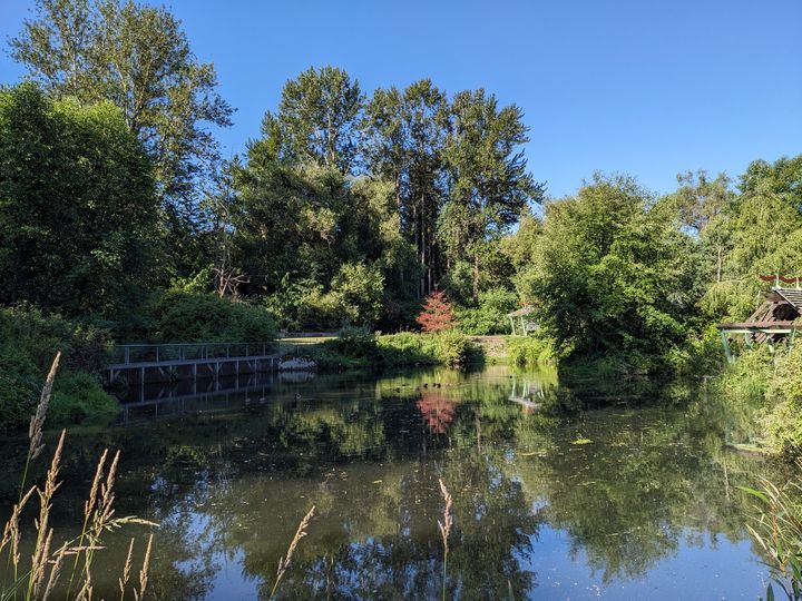 Names in the Neighborhood: Meadowbrook | Wedgwood in Seattle History