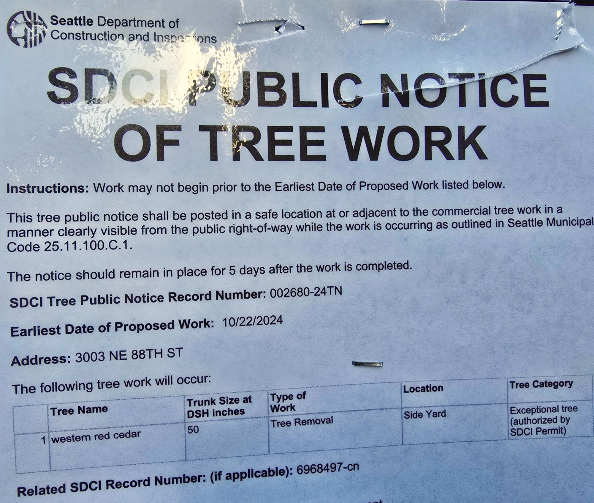 3003 NE 88th Street.notice of tree removal for October 2024 | Wedgwood ...