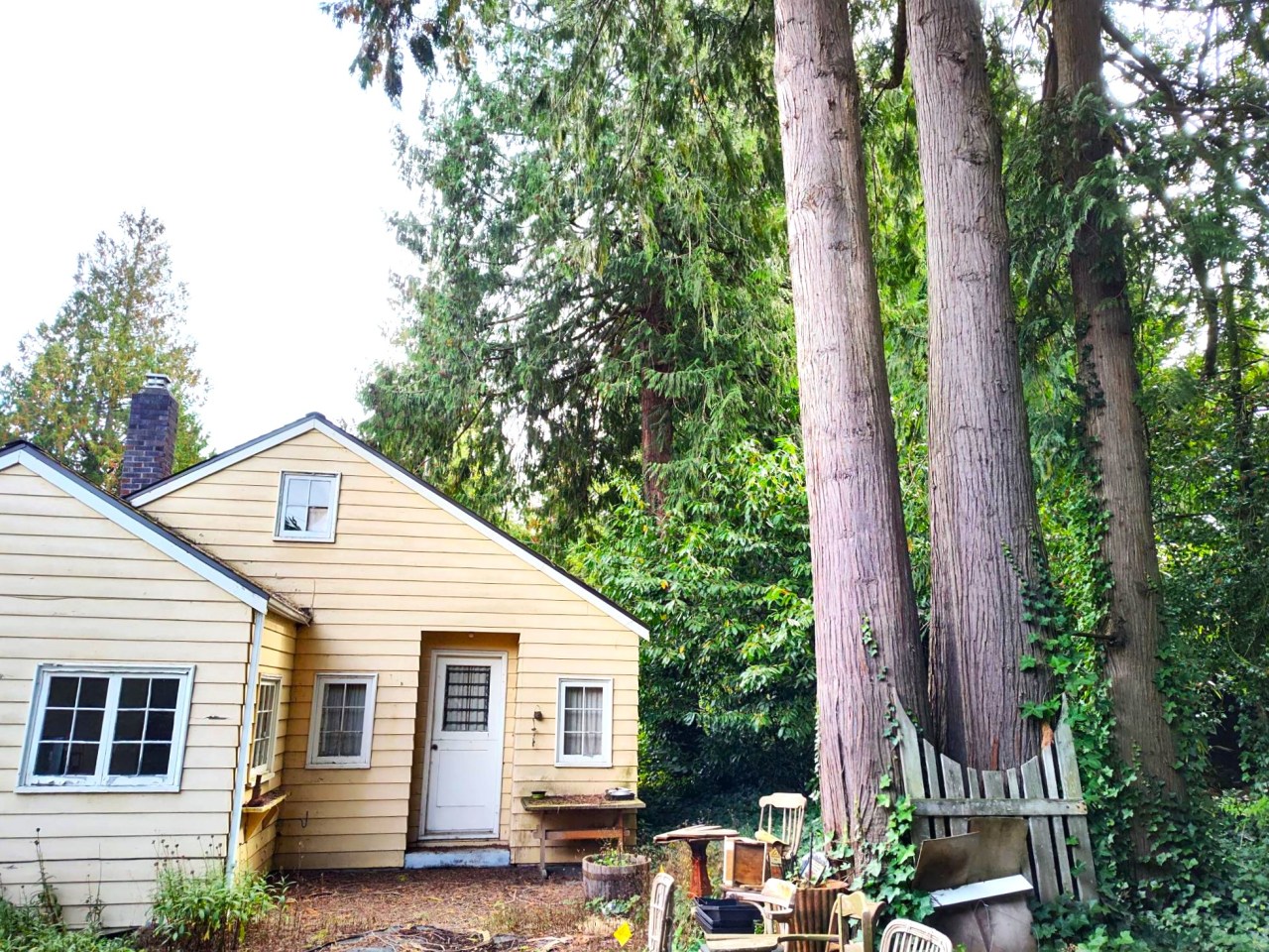 Wedgwood in Seattle History | Valarie's blog, exploring stories of ...