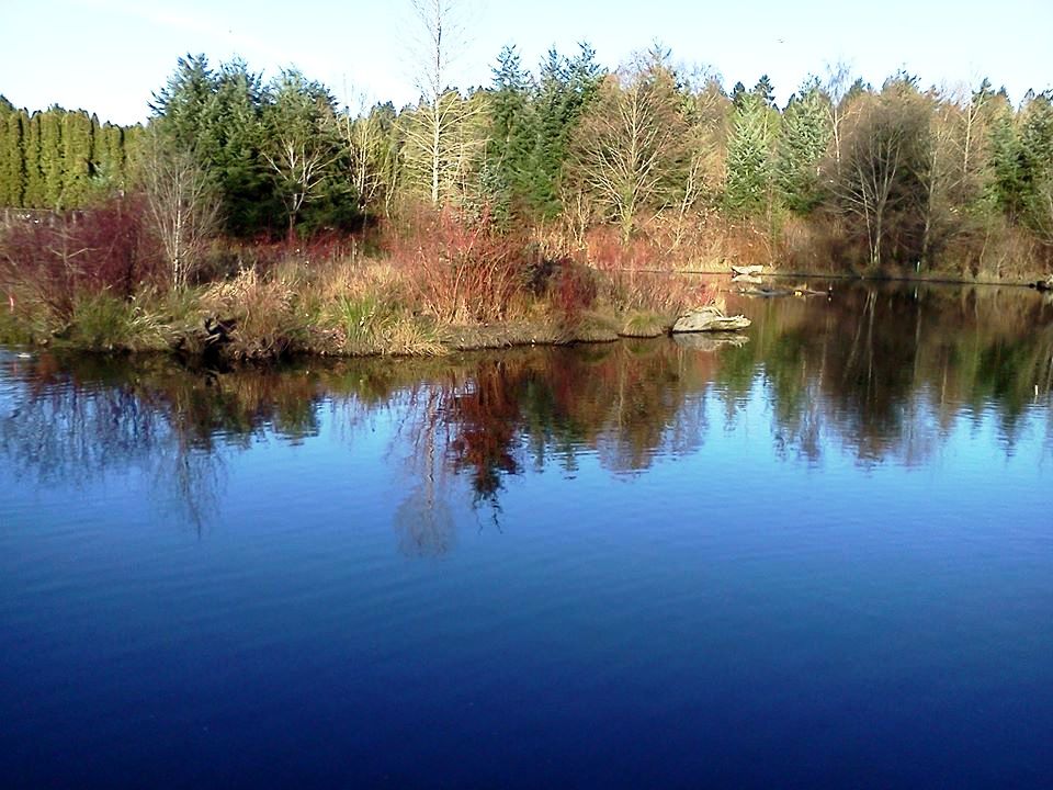 The Willow Creek Fish Passage Restoration Project in Meadowbrook ...