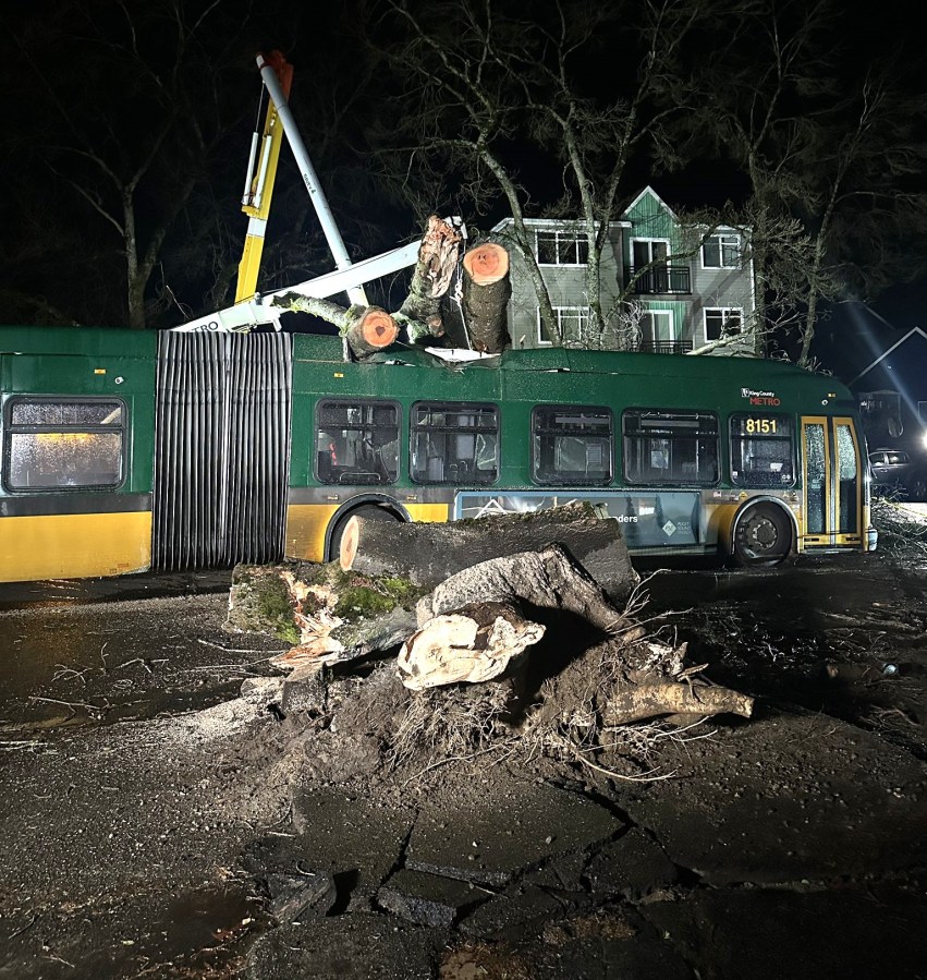 Storm damage of 19 November 2024 tree on bus at barber shop.Shawn ...