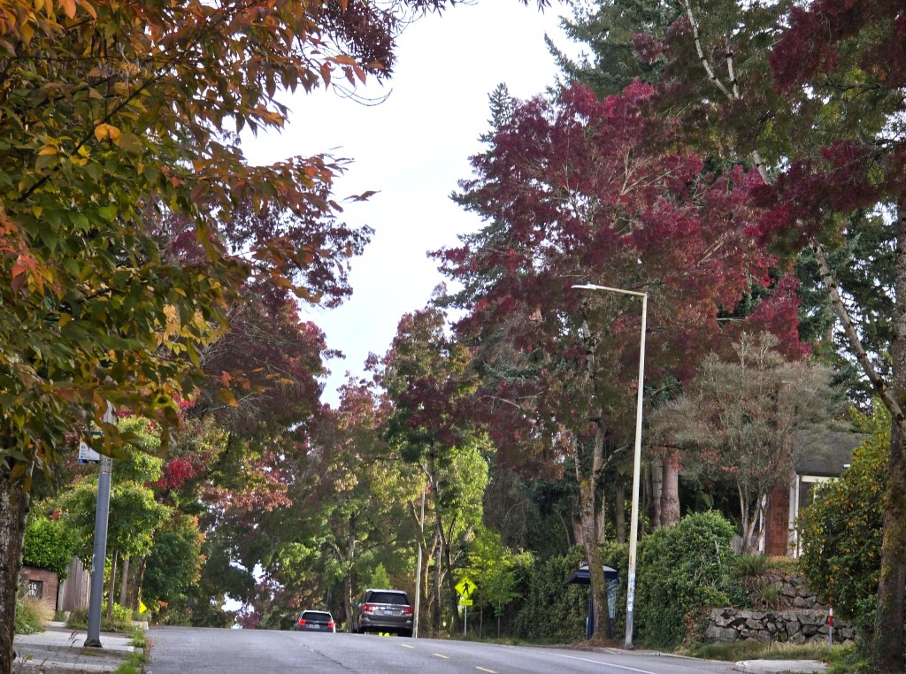 Wedgwood in Seattle History | Valarie's blog, exploring stories of ...