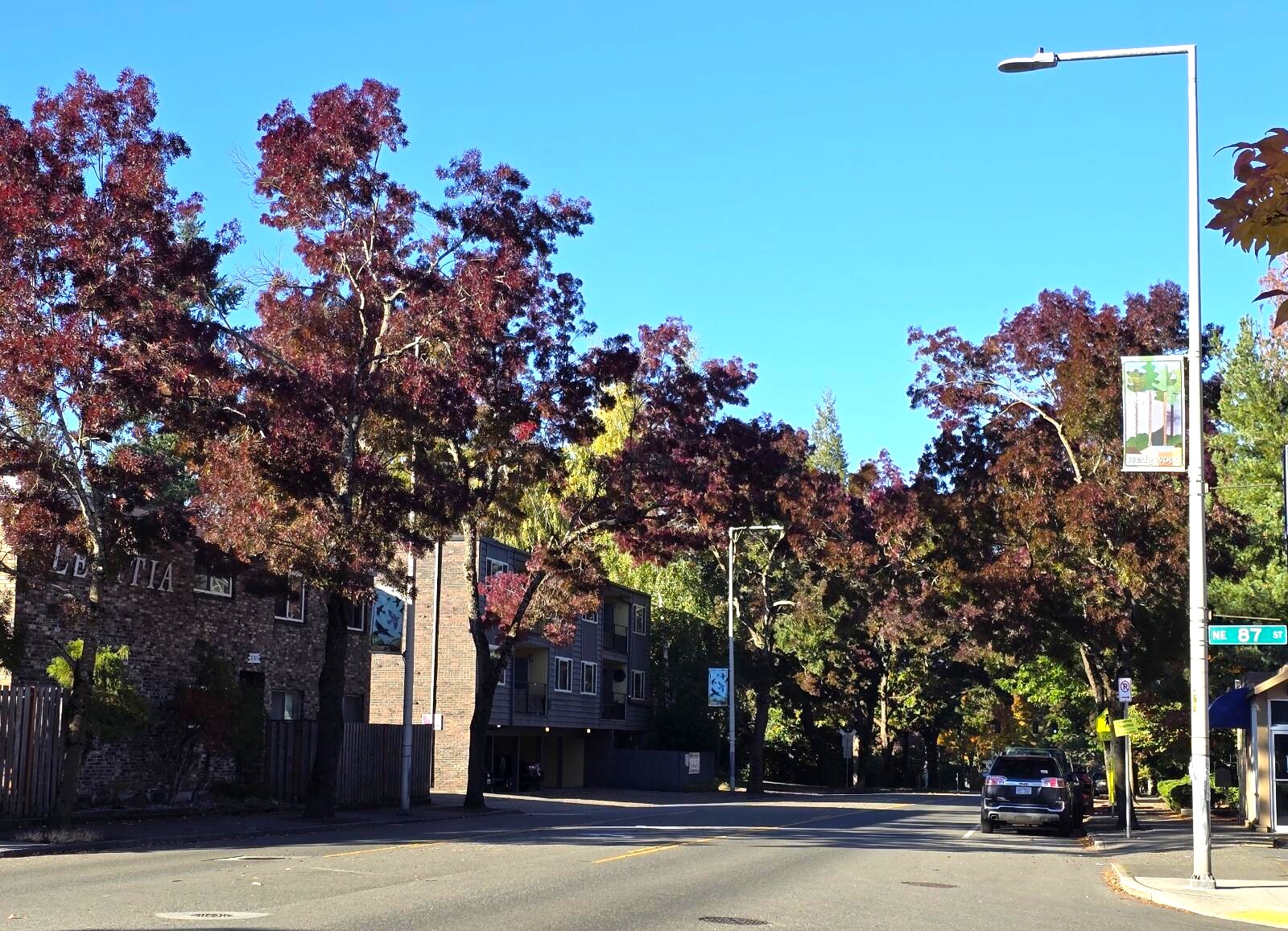 Wedgwood in Seattle History | Valarie's blog, exploring stories of ...