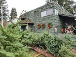 Hunter Tree Farm at Christmas 2025 | Wedgwood in Seattle History